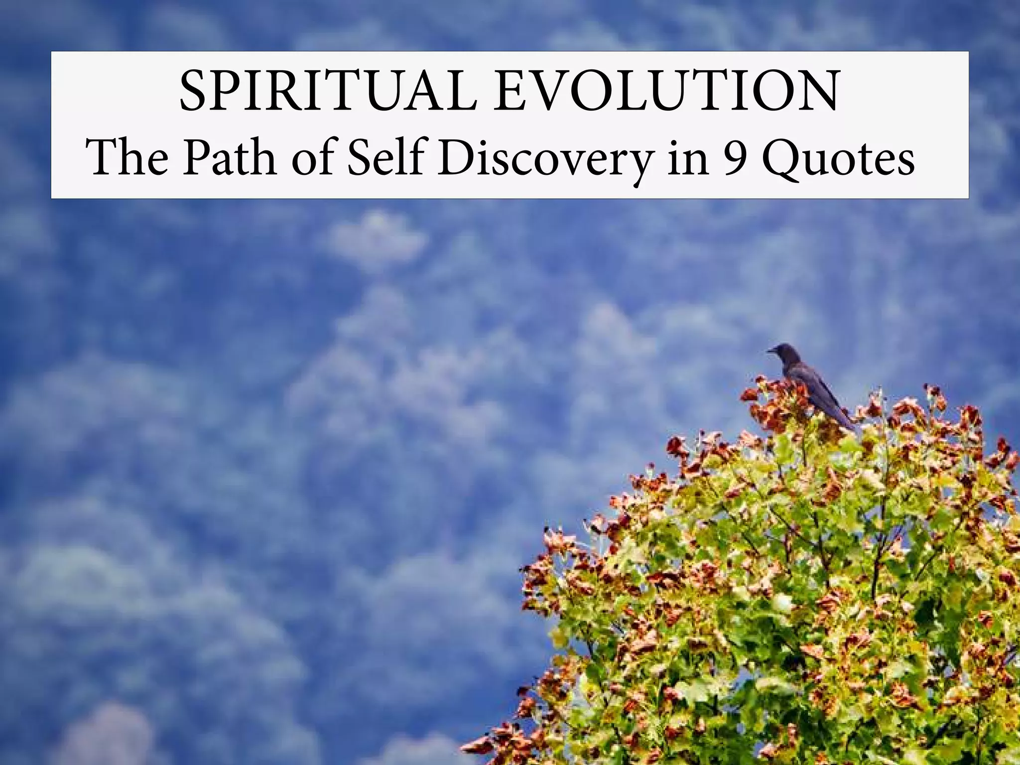 Spiritual Evolution: The Path of Self Discovery in 9 Quotes | PDF
