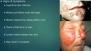 skin and soft tissue infection paediatric | PPTX