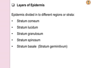 Cosmetics - Biological Aspects. | PPTX