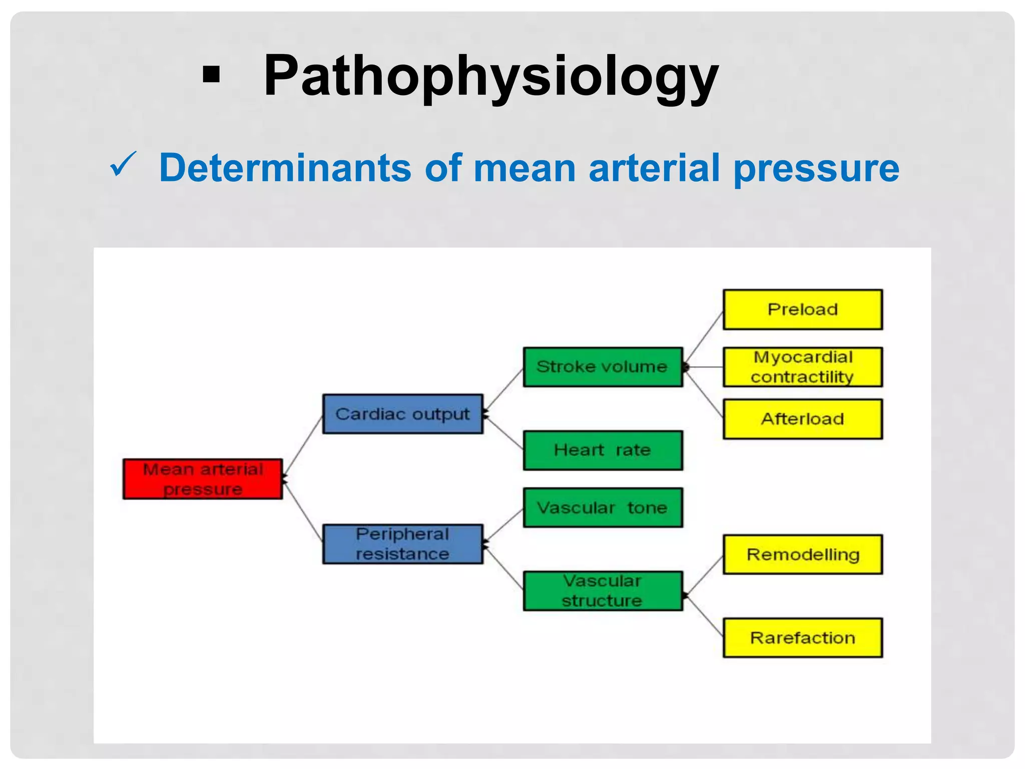 Hypertension-Pathophysiology, Treatment of hypertension, Diagnosis with ...