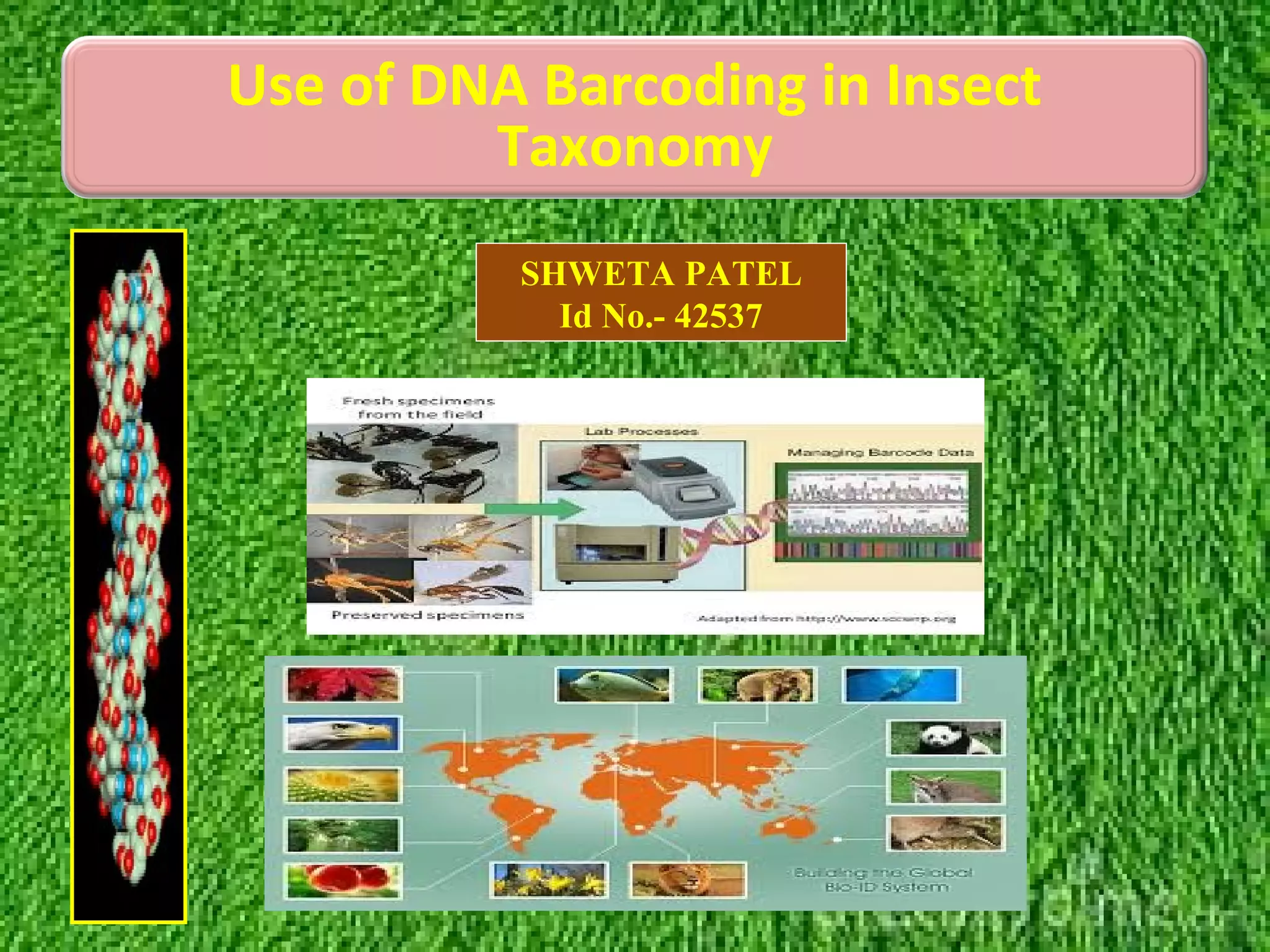 Use of DNA Barcoding in Insect Taxonomy | PPT