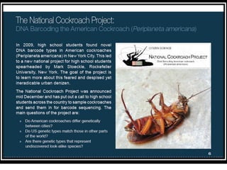 Use of DNA Barcoding in Insect Taxonomy | PPT