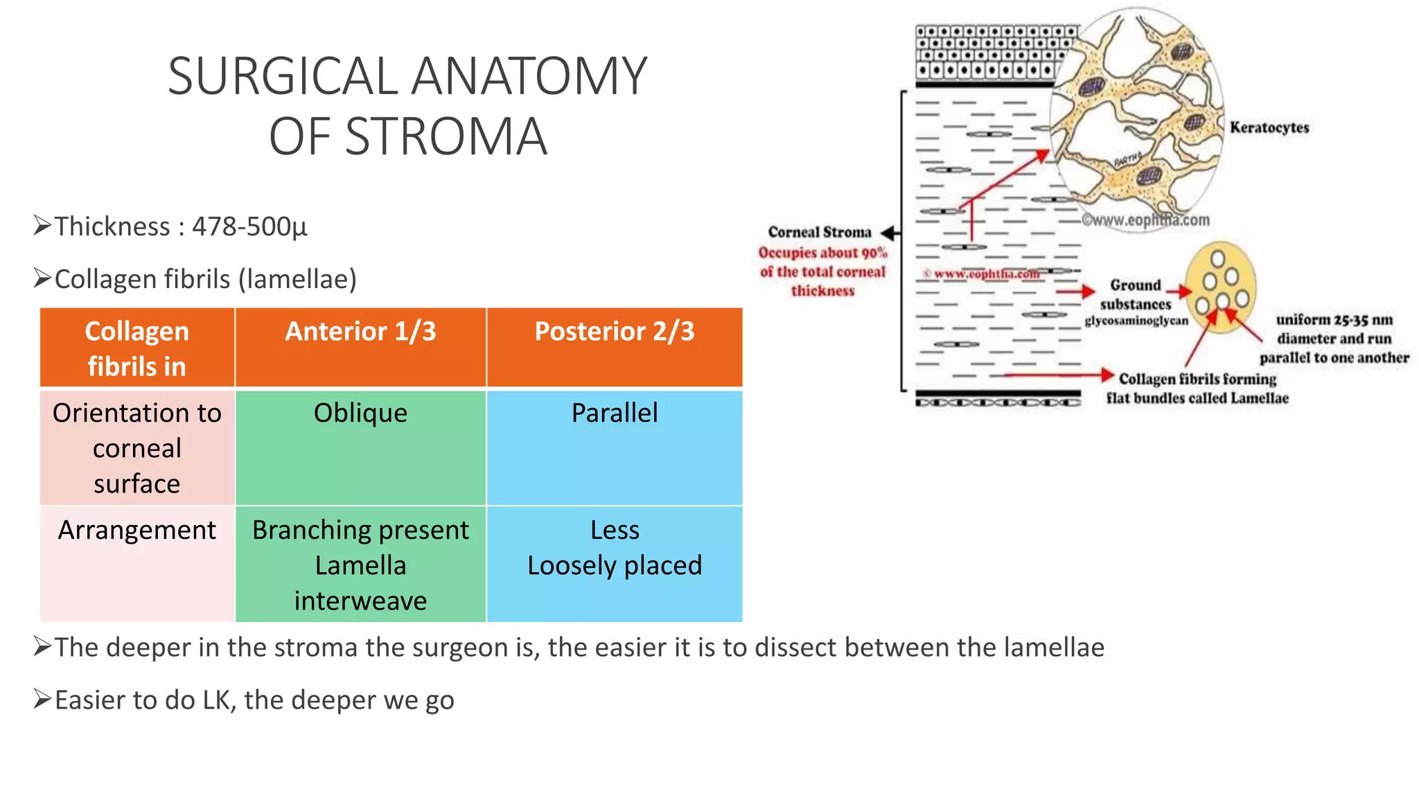 LAMELLAR KERATOPLASTY | PPTX