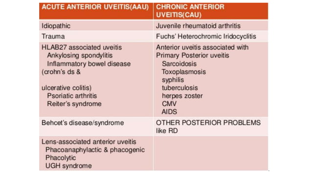 Uveitis: Workup and Management | PPTX | Eye and Vision Conditions ...
