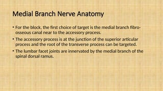 Lumbar Medial branch blocks in patients with Lumbar facet arthropathy ...