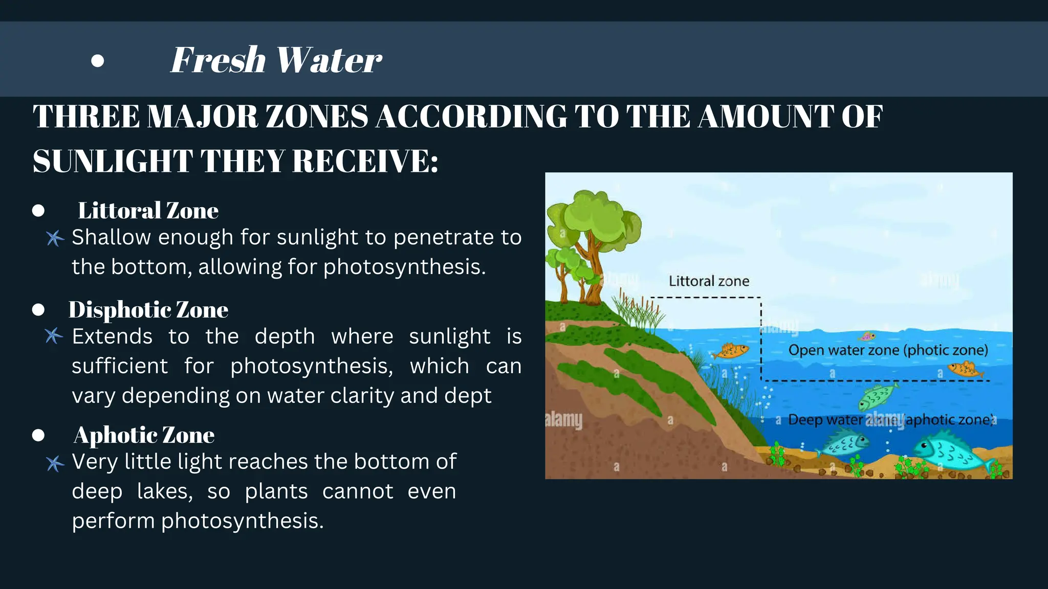 Aquatic ecosystem and its biomes involved.pdf