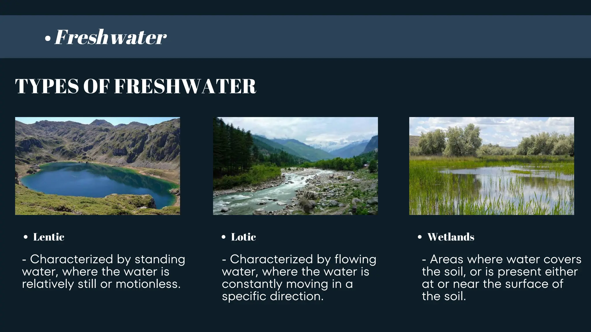 Aquatic ecosystem and its biomes involved.pdf