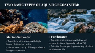 Aquatic ecosystem and its biomes involved.pdf