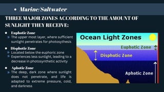 Aquatic ecosystem and its biomes involved.pdf