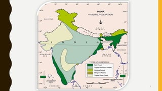 Natural Vegetation and wildlife of india | PPTX