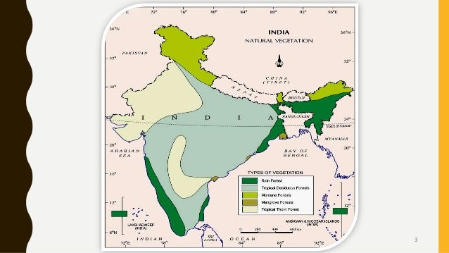 Natural Vegetation and wildlife of india