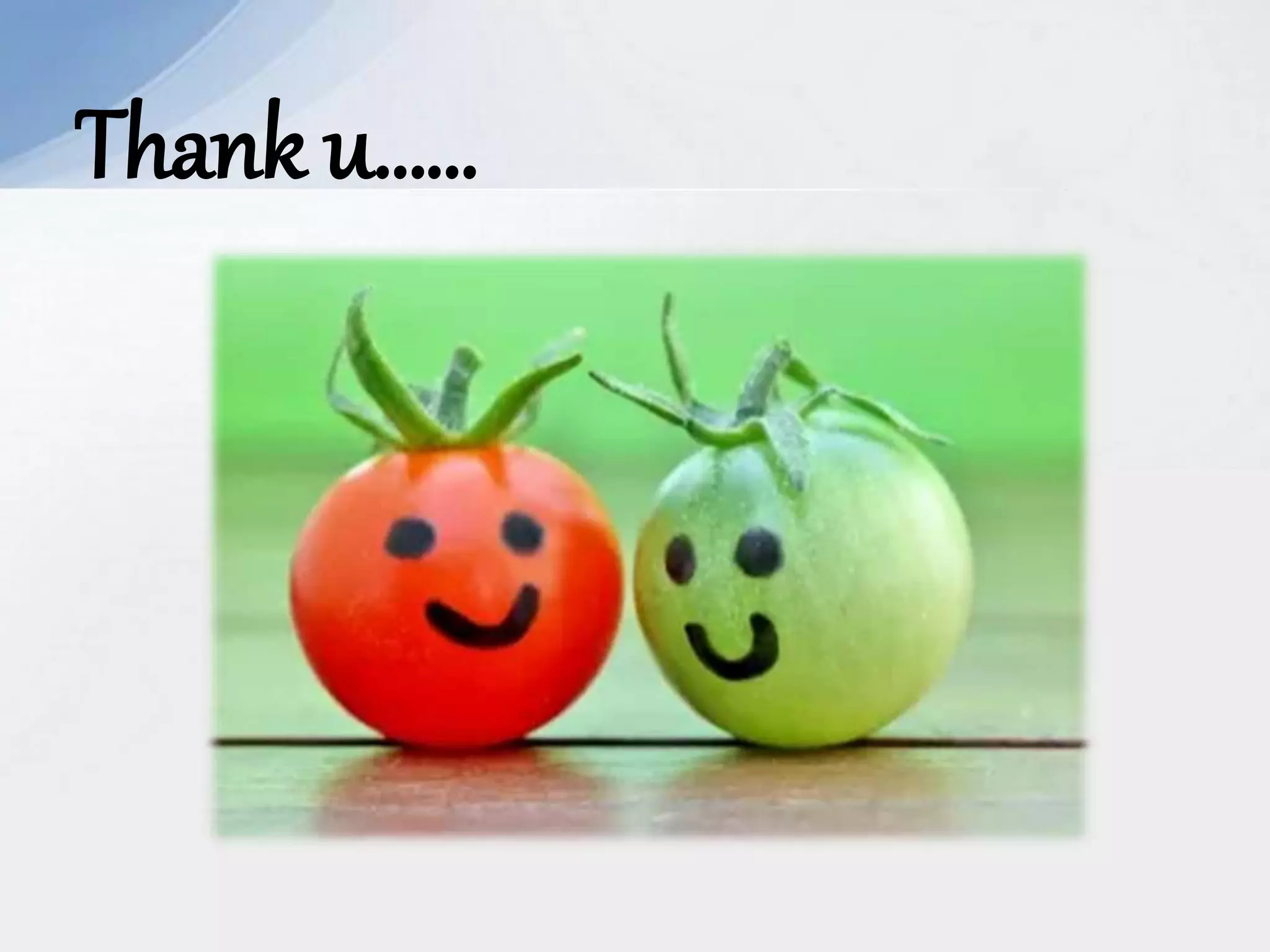 floral biology of tomato | PPTX