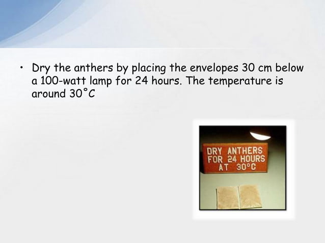 floral biology of tomato | PPTX | Gardening | Home & Garden