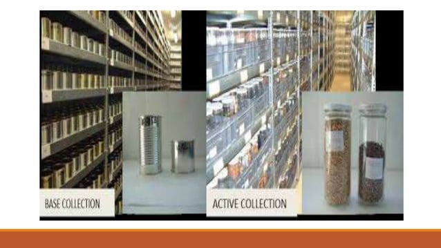 GUIDELINES FOR SENDING SEEDS TO NETWORK OF ACTIVE/WORKING COLLECTIONS | PPT