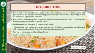 Morphological and biochemical characterization in Rice | PPTX