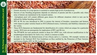 Morphological and biochemical characterization in Rice | PPTX