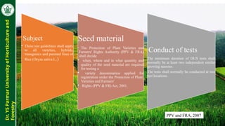 Morphological and biochemical characterization in Rice | PPTX