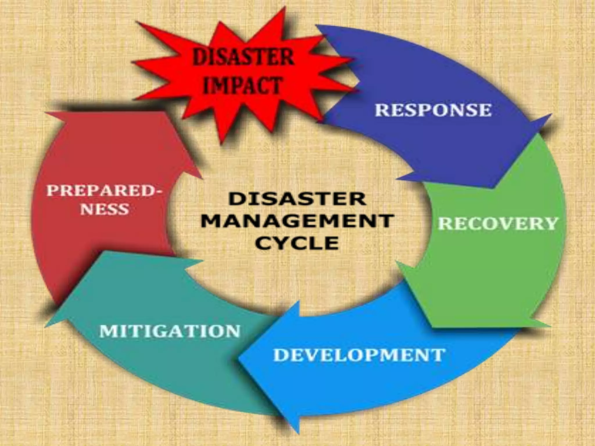 Sst class 9 becoming a disaster management | PPTX
