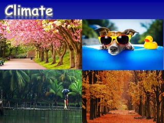 SST Class 9- Climate | PPTX