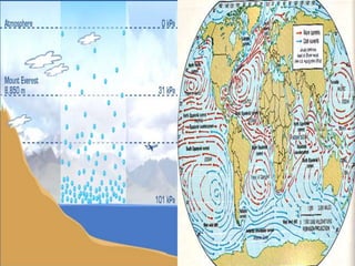SST Class 9- Climate | PPTX