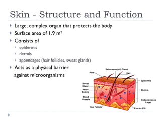 Sst is and ssis | PPT