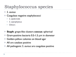 Sst is and ssis | PPT