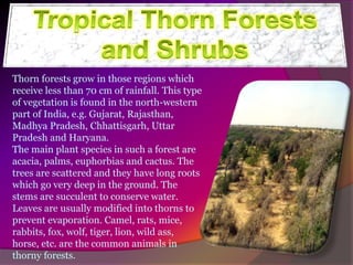 Sst natural vegetation and wildlife By Anshuman | PPT