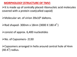 Tobacco mosaic virus | PPTX