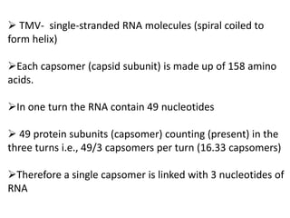 Tobacco mosaic virus | PPTX
