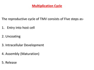 Tobacco mosaic virus | PPTX