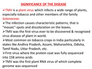 Tobacco mosaic virus | PPTX