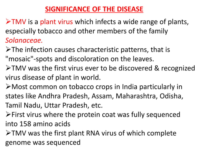Tobacco mosaic virus | PPTX | Gardening | Home & Garden