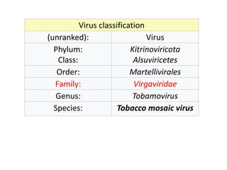 Tobacco mosaic virus | PPTX