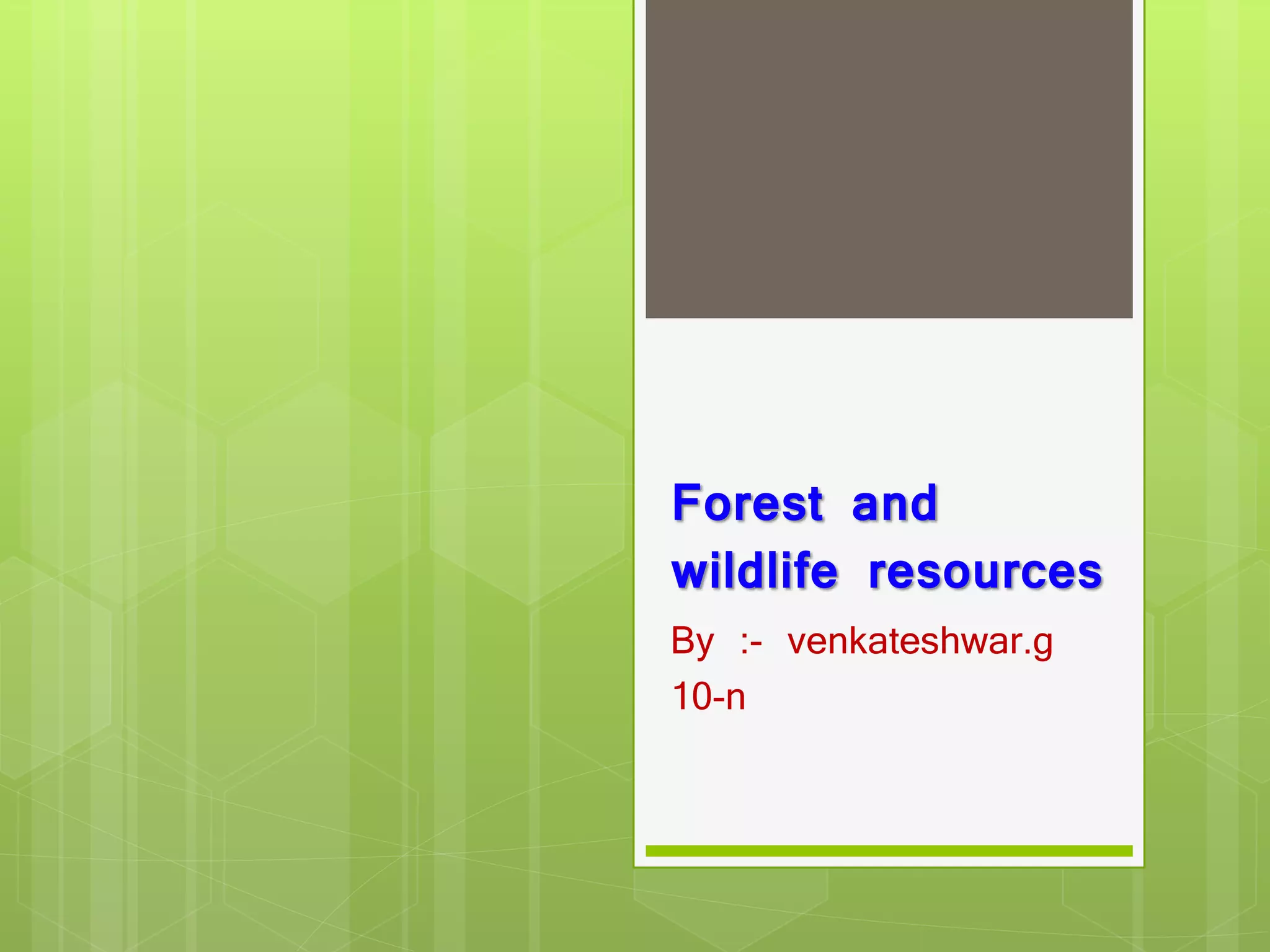 forest and wildlife 10 ppt | PPTX