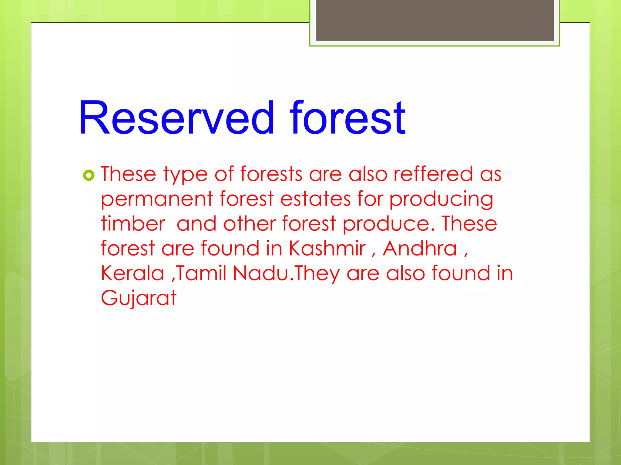 forest and wildlife 10 ppt | PPTX