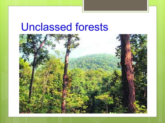 forest and wildlife 10 ppt | PPTX