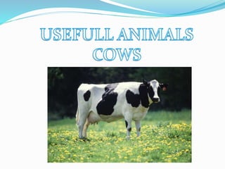 ppt on useful plants and animals | PPT