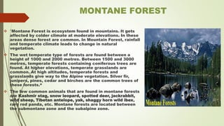 SST PPT ART INTGERETION .pptx