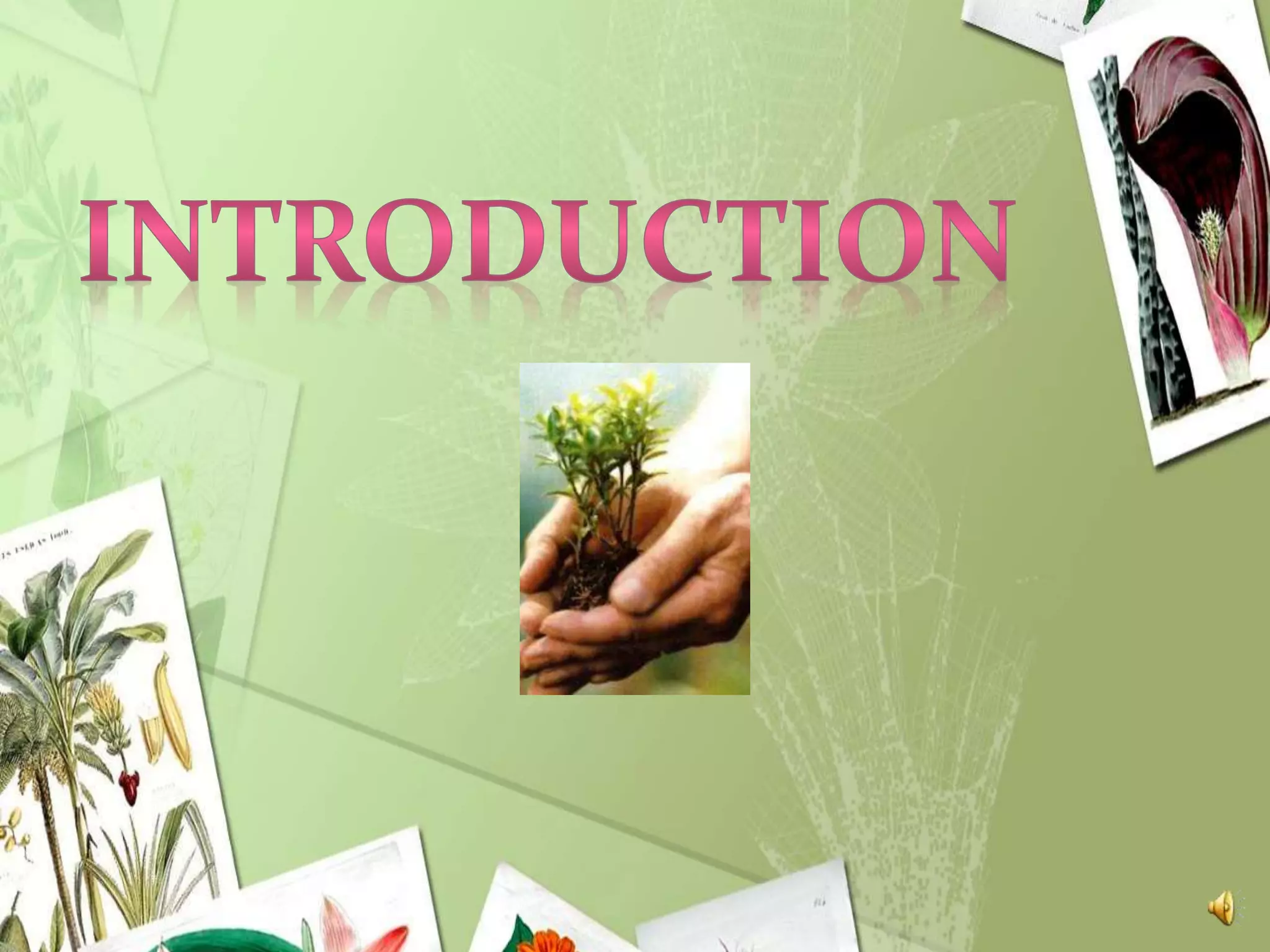 Sst ppt for fa 2 | PPTX