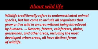 SST class 7 natural vegetation and wildlife | PPTX