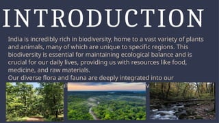 SST Presentation - Forest and wildlife.pptx