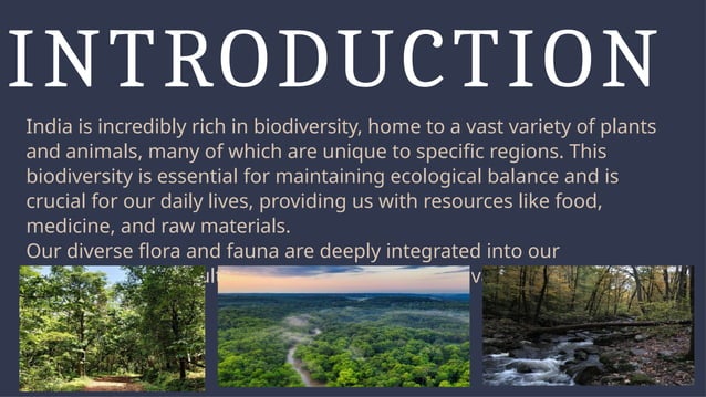 SST Presentation - Forest and wildlife.pptx