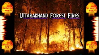 Uttarakhand Forest Fire (sst project) | PPTX