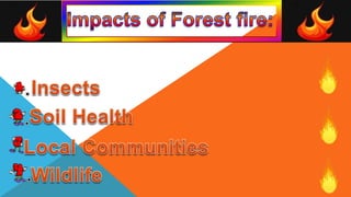 Uttarakhand Forest Fire (sst project) | PPTX