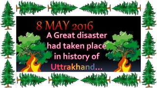 Uttarakhand Forest Fire (sst project) | PPTX