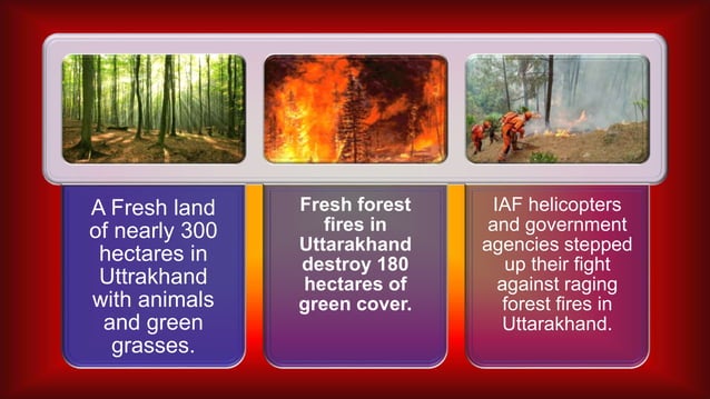 Uttarakhand Forest Fire (sst project) | PPTX | Geography | Science