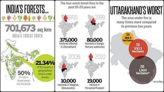 Uttarakhand Forest Fire (sst project) | PPTX