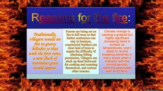 Uttarakhand Forest Fire (sst project) | PPTX