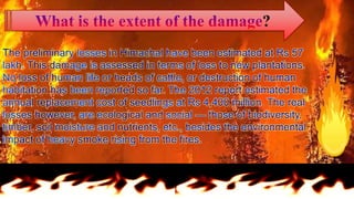 Uttarakhand Forest Fire (sst project) | PPTX