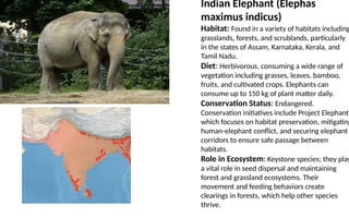 SST PROJECT on some exotics and indigenous species of flora and ...